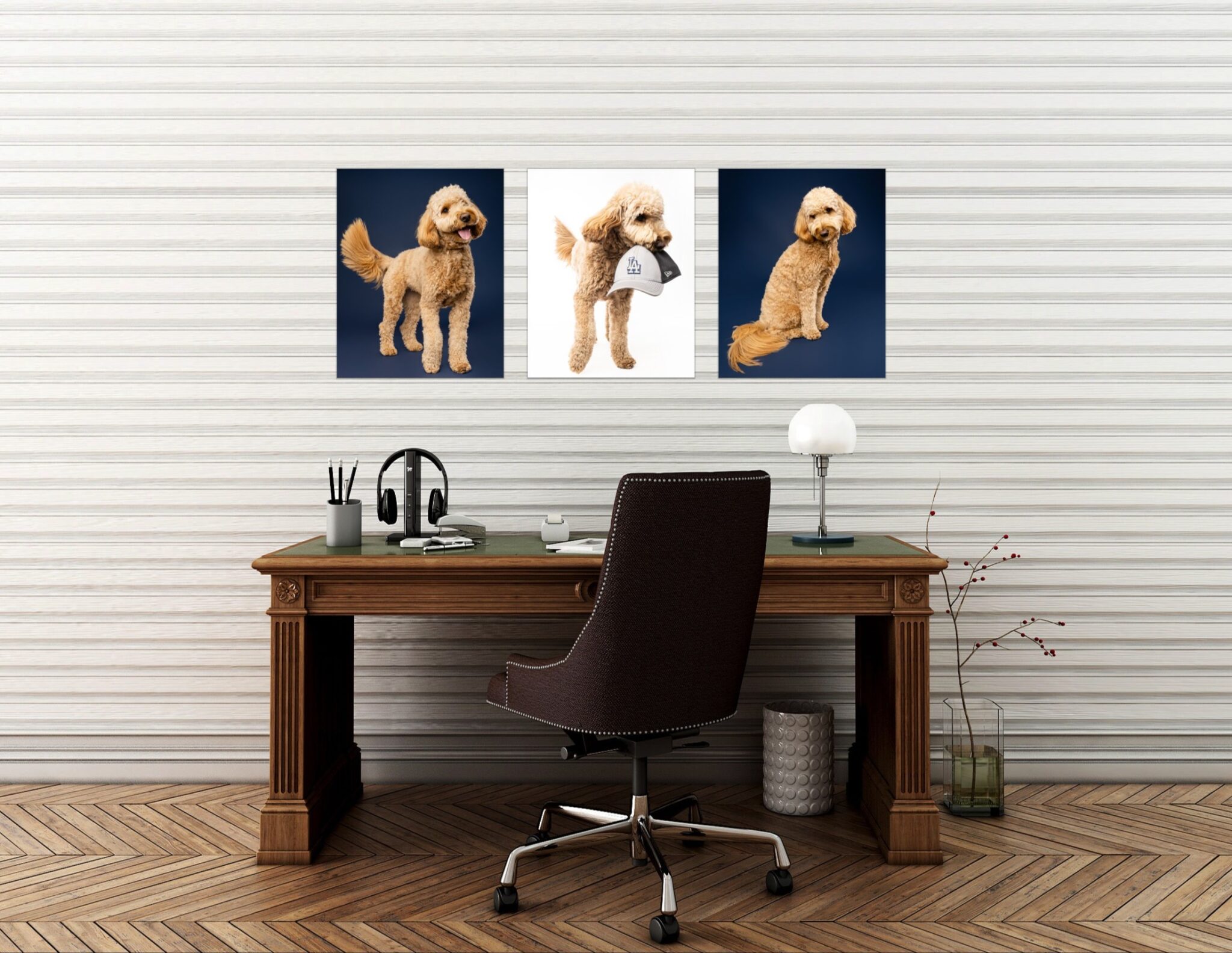 The Art and Science of Colorful Dog Photography | Haute Dog Pet Photography