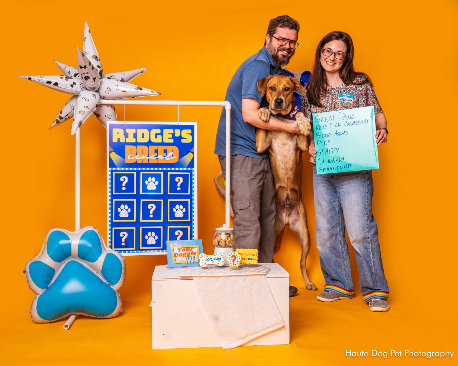What's in a Breed? Ridge's DNA Reveal Party | Haute Dog Pet Photography